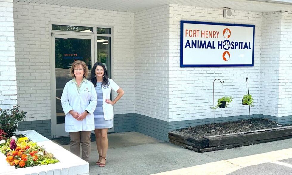 Best Vet Hospital In Kingsport, TN | Fort Henry Animal